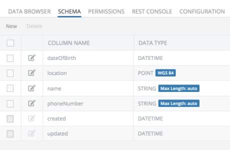 How To Include And Exclude Properties From A Response | Backendless