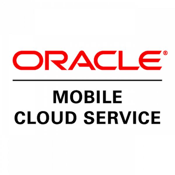 Making Business More Efficient With Enterprise Mobile Application Development